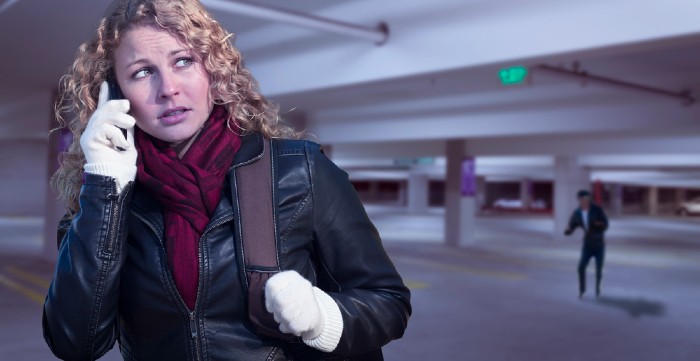 Inadequate Security » Nash and Franciskato Law Firm